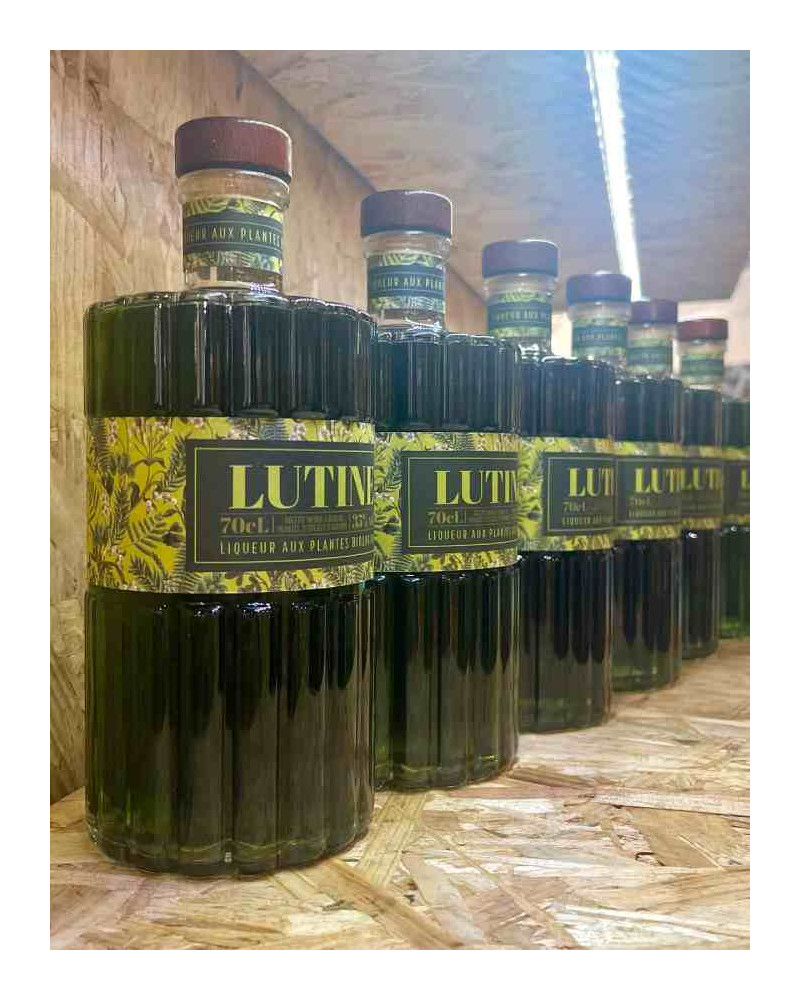 Liqueur Verte Bio Lutine Aux Herbes 35% Bouteille Deco 70cl - Quai Sud ...